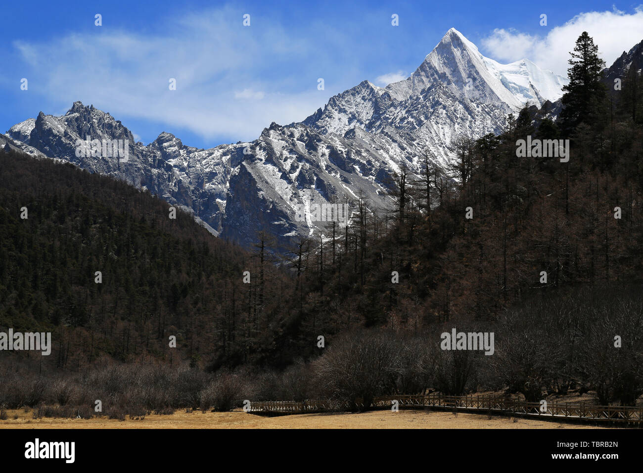 Yaden hi-res stock photography and images - Alamy