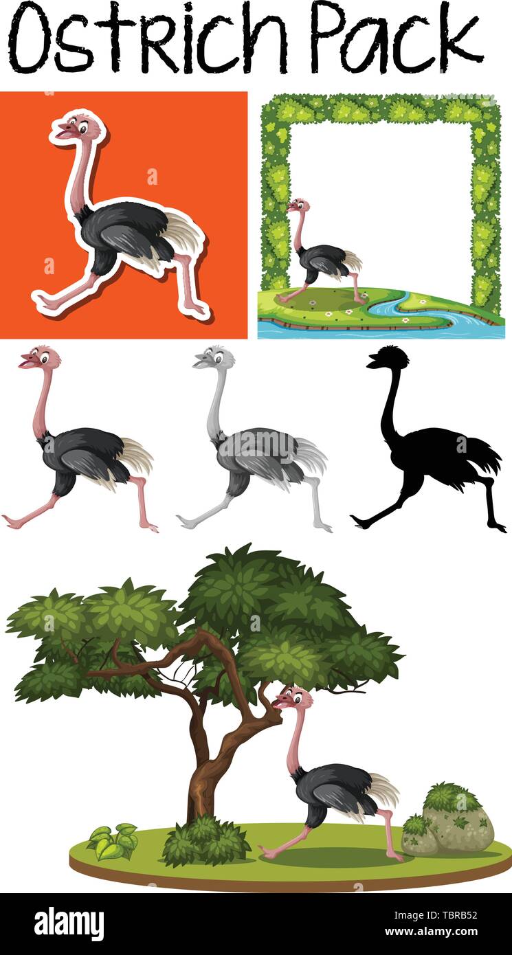 A pack of cute ostrich illustration Stock Vector Image & Art - Alamy
