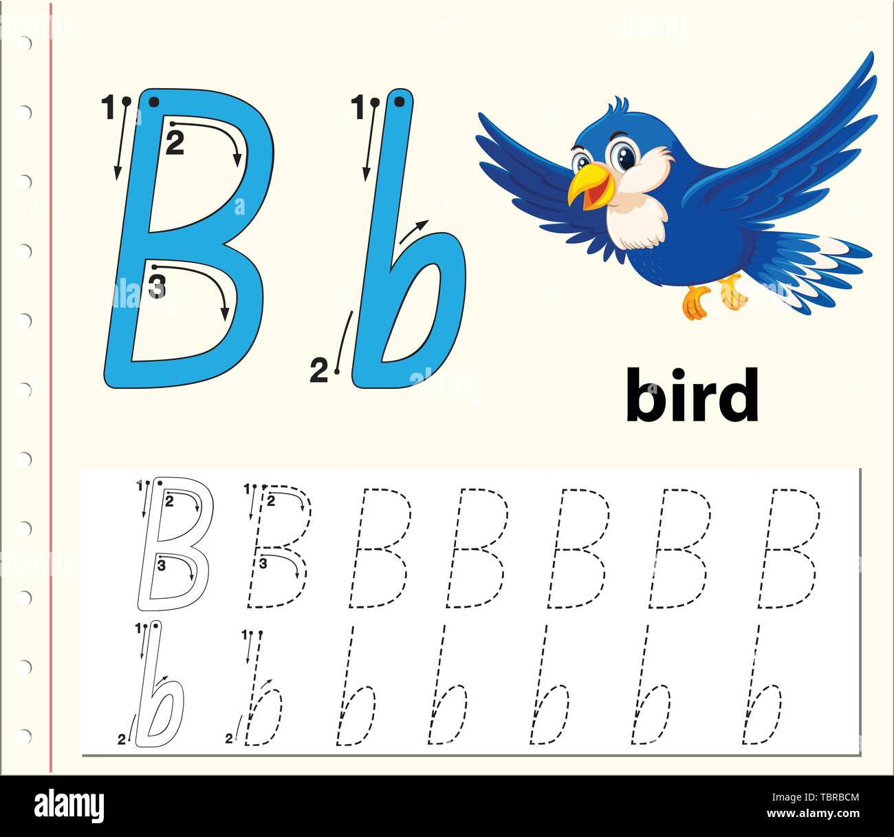 Trace the letter B illustration Stock Vector Image & Art - Alamy