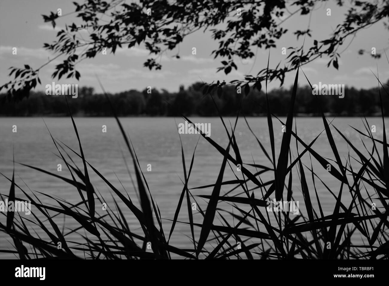 Old summer palace wallpaper and screensaver hi-res stock photography ...
