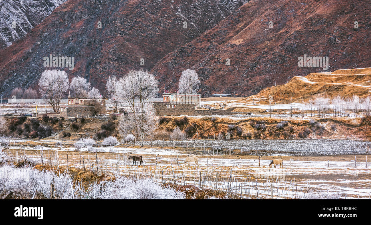 Xindu bridge scenery hi-res stock photography and images - Alamy