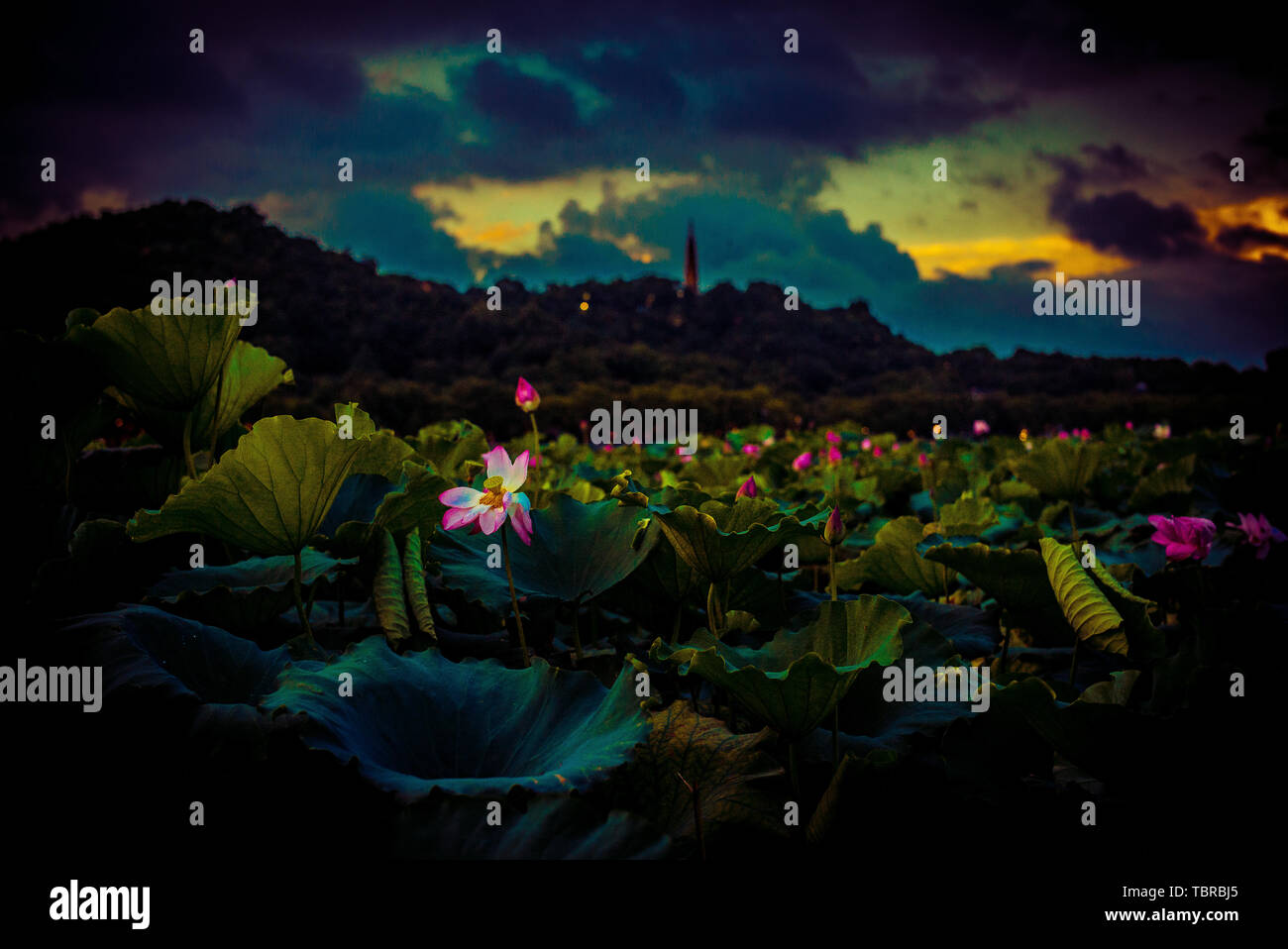 Photo the beautiful scenery after crossing the border with Typhoon West ...