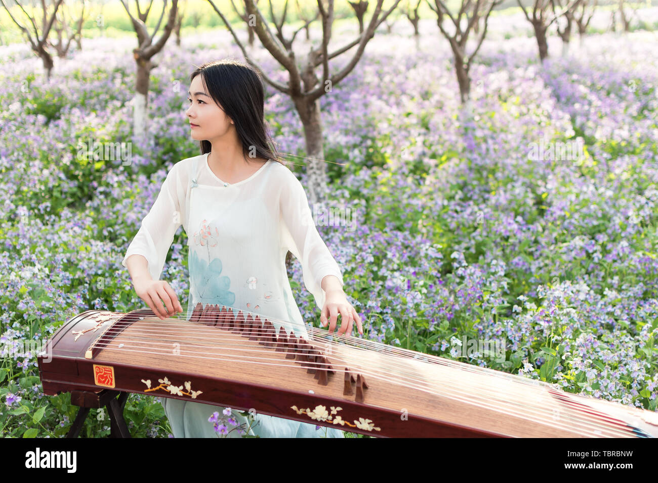 Girl guzheng hi-res stock photography and images - Alamy