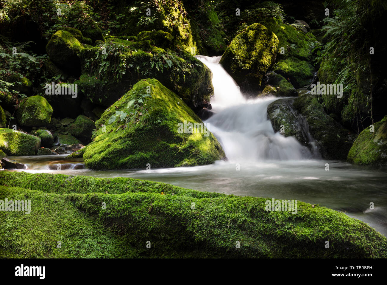 Deep water rivers hi-res stock photography and images - Alamy