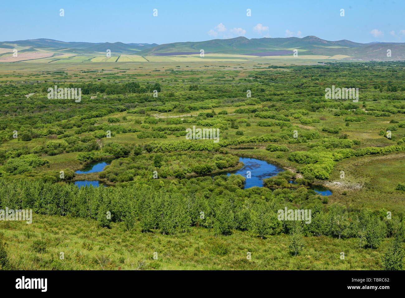 Scenery of Genhe Wetland in Xinjiang Stock Photo - Alamy