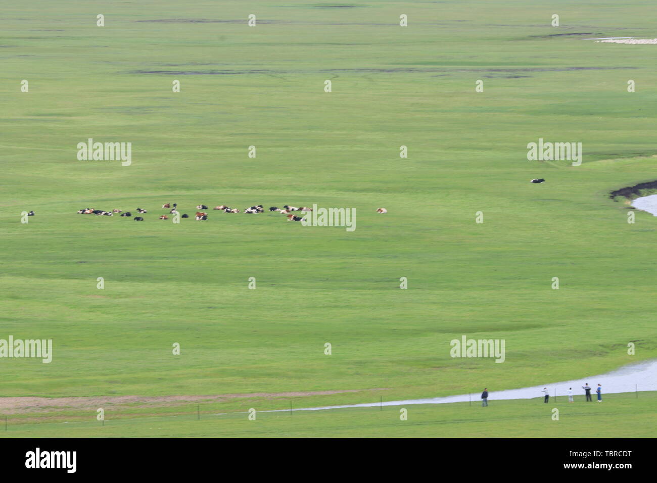 Erguna river erguna river wetland hi-res stock photography and images ...