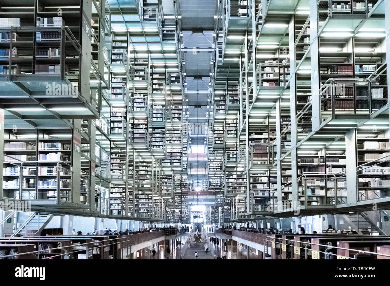 The most beautiful library in Mexico City Stock Photo - Alamy