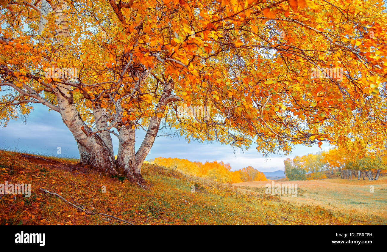 The nanyang river hi-res stock photography and images - Alamy