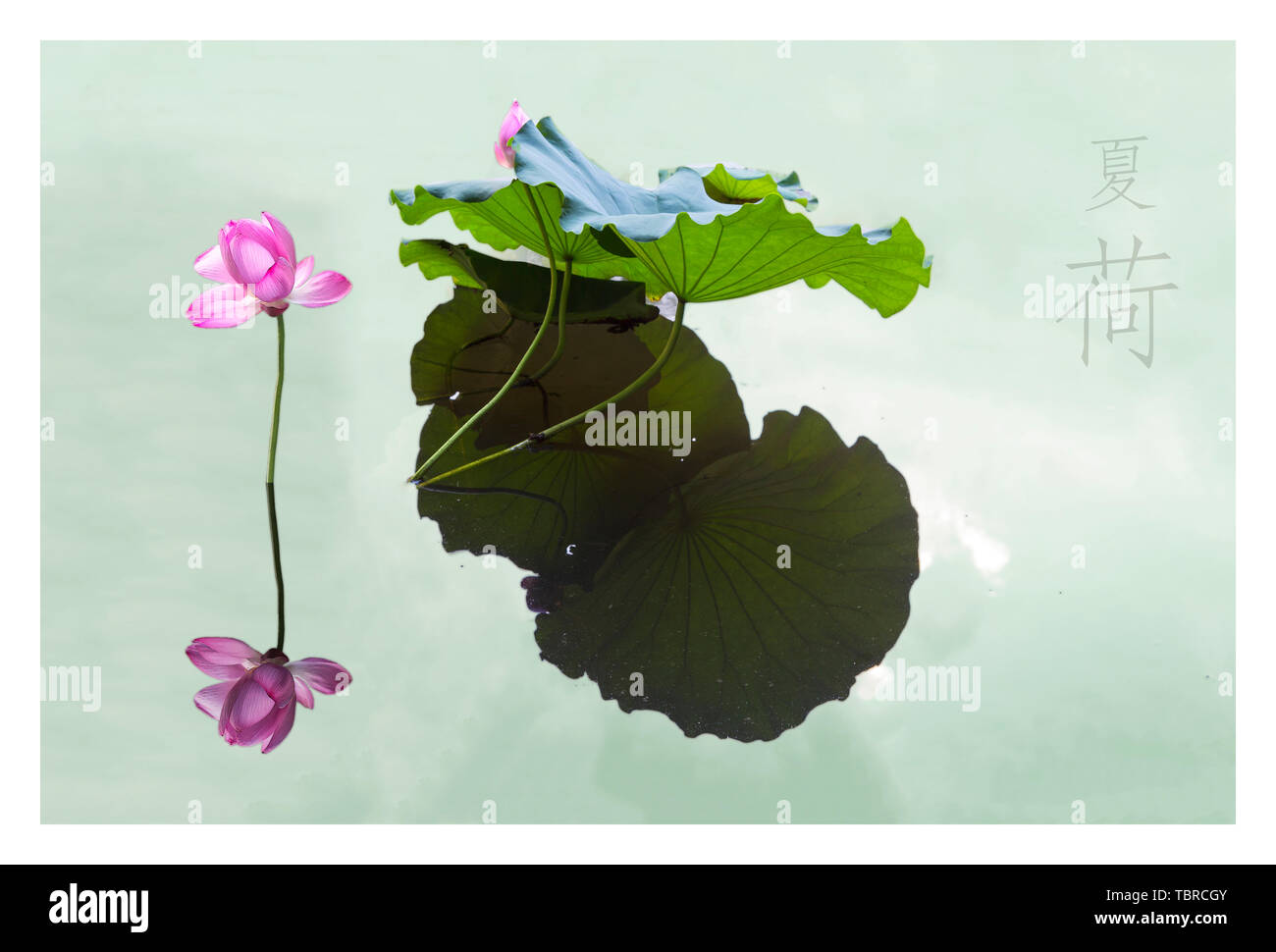 Self pity hi-res stock photography and images - Alamy