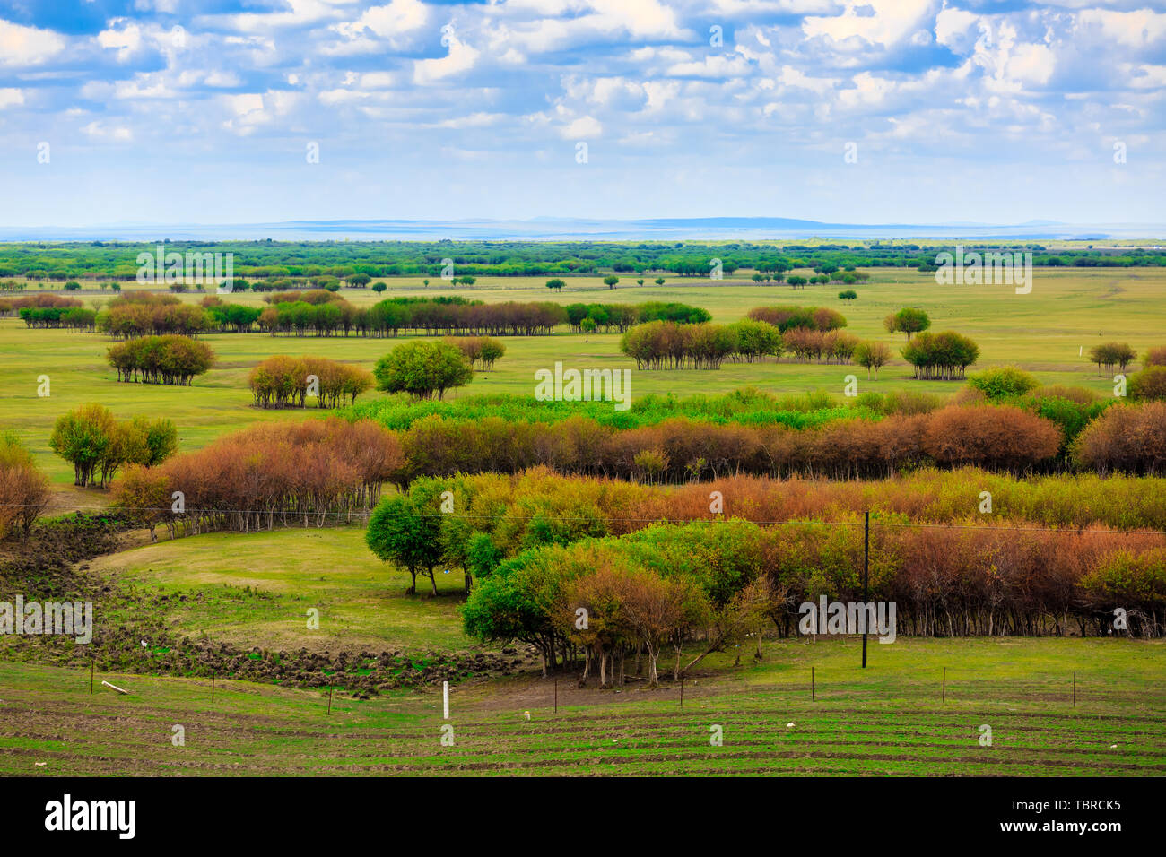 Summer in Hulunbuir Prairie, Inner Mongolia Stock Photo - Alamy