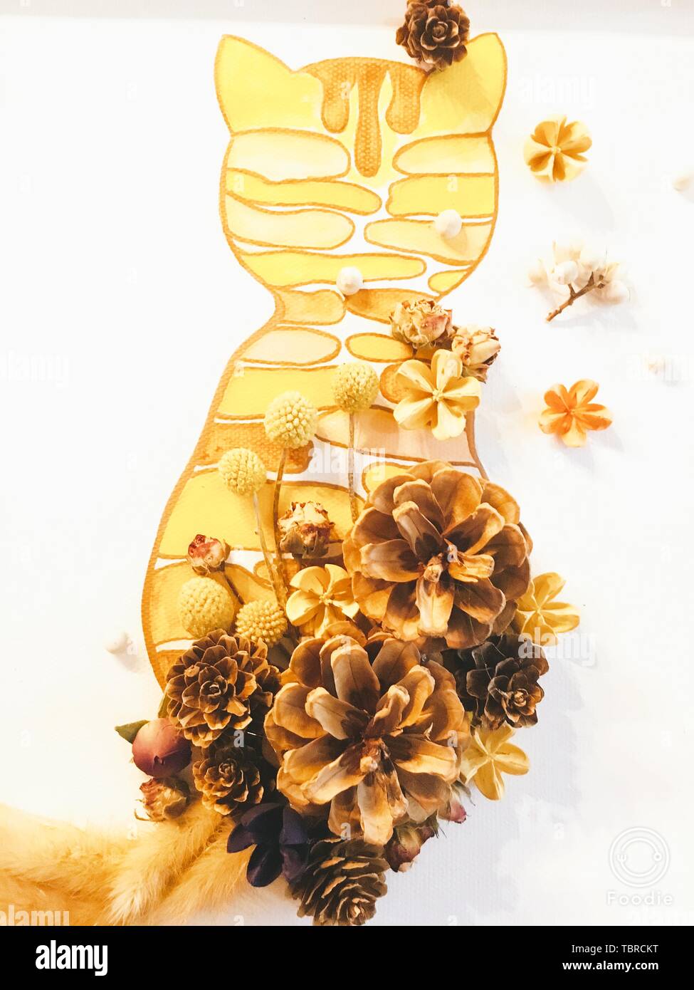 Hey kitty hi-res stock photography and images - Alamy