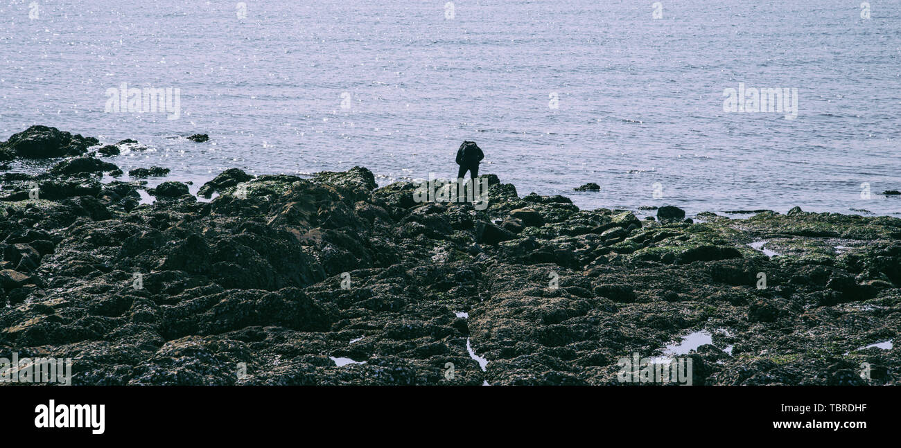 Multitudinous hi-res stock photography and images - Alamy