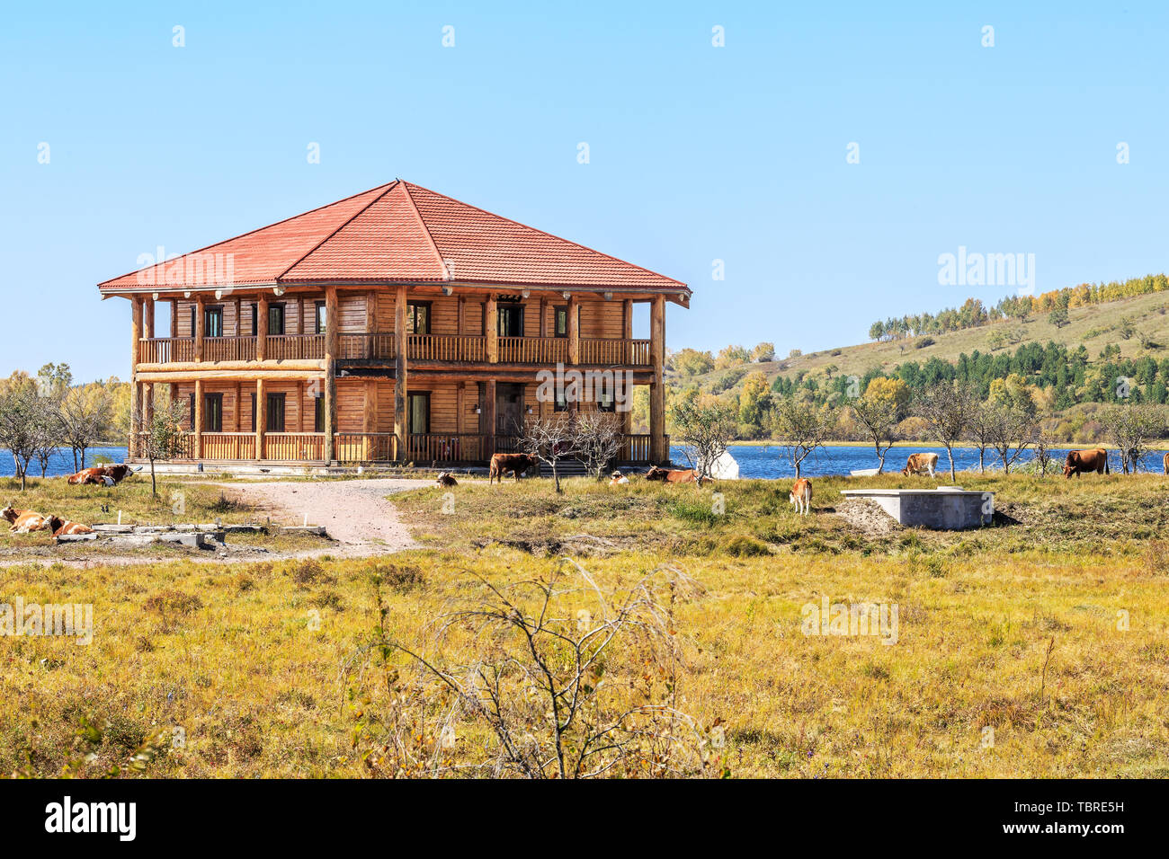 Autumn color of Taoshan Lake on paddock dam Stock Photo - Alamy