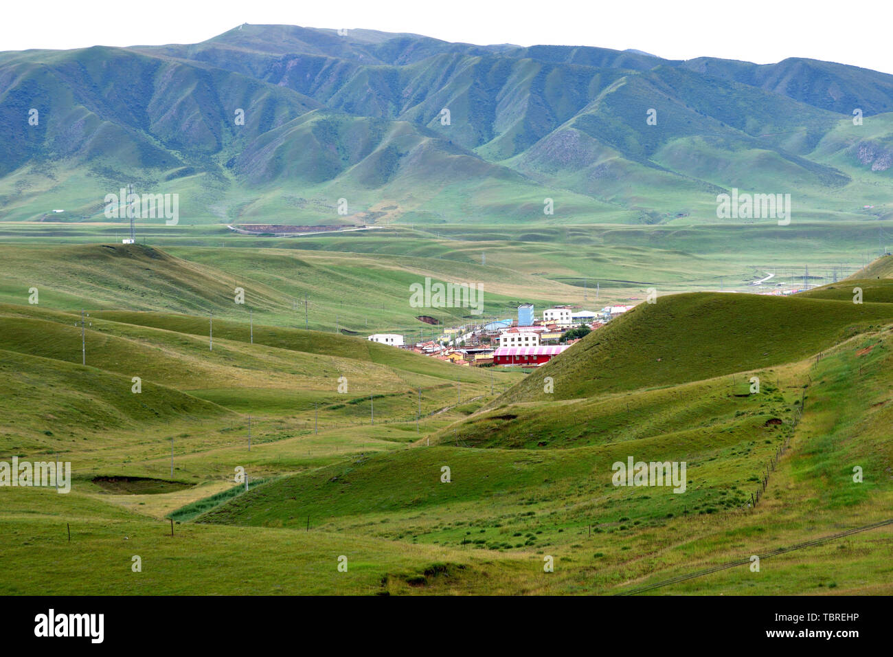 Photographed in the Gannan area of Gansu Province in September 2018 ...