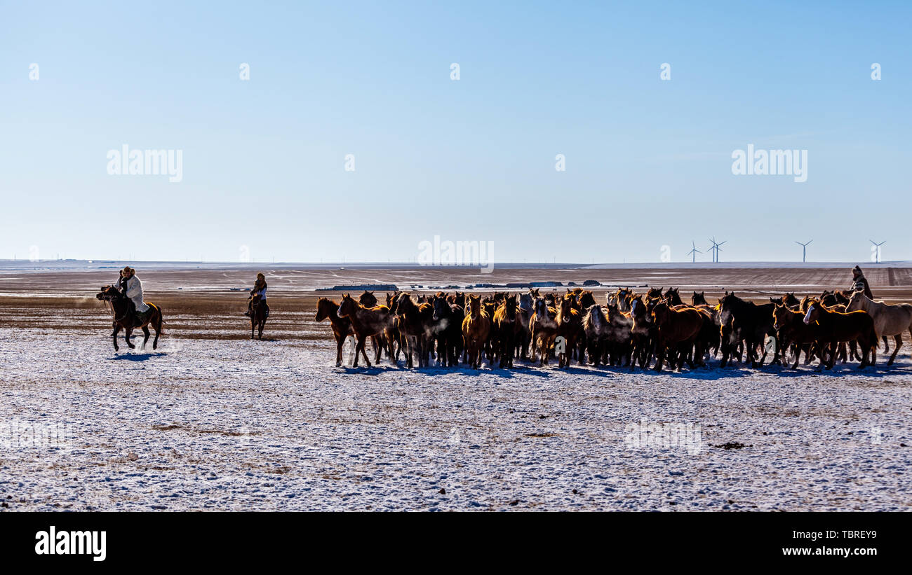 Hailar prairie hi-res stock photography and images - Alamy