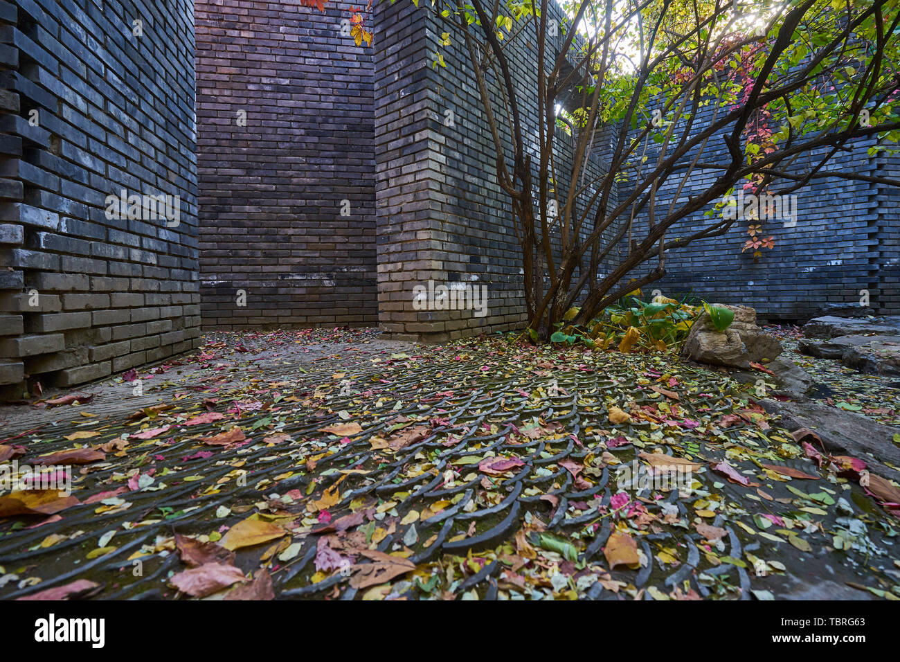 Red leaf art museum of art art museum fashion hi-res stock photography ...