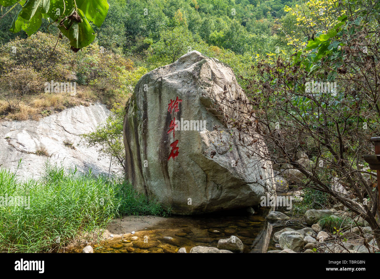 Looning hi-res stock photography and images - Alamy