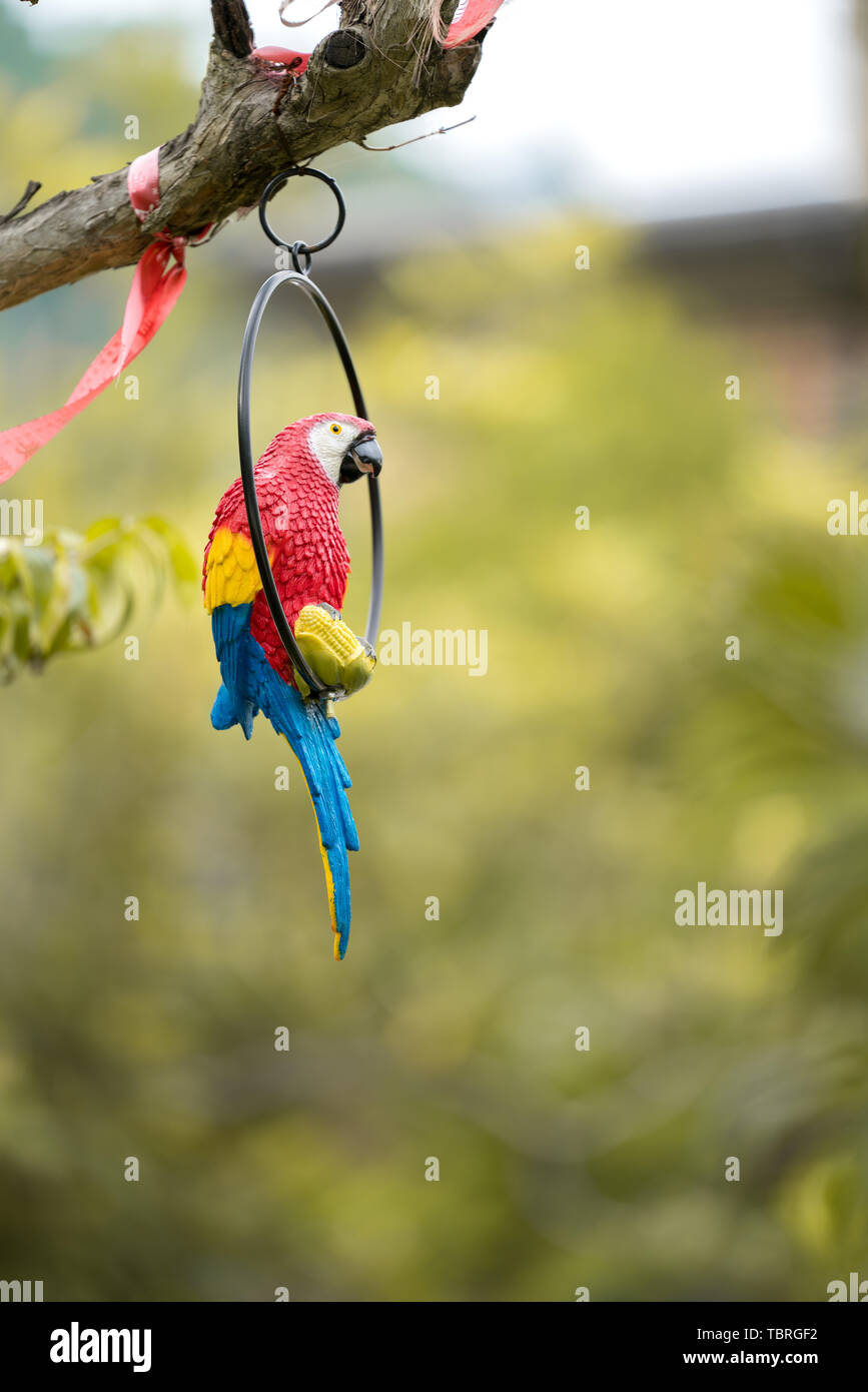 Parrots model hi-res stock photography and images - Alamy