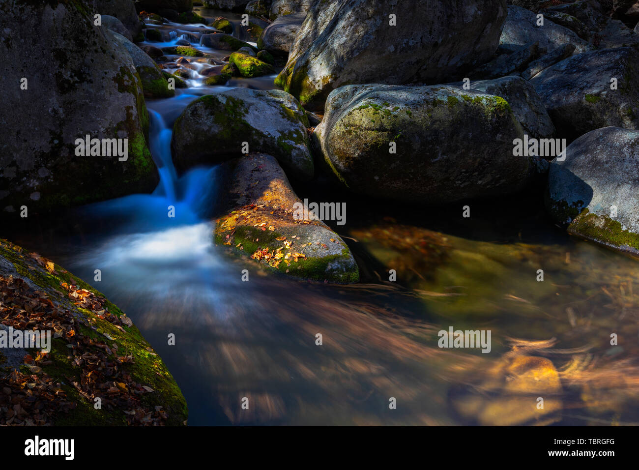 Border ditch hi-res stock photography and images - Alamy