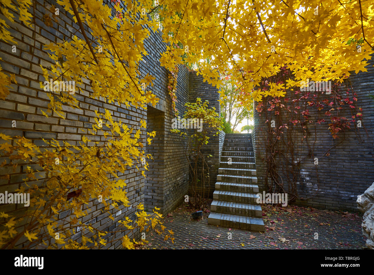 The Red Brick Museum Stock Photo - Alamy