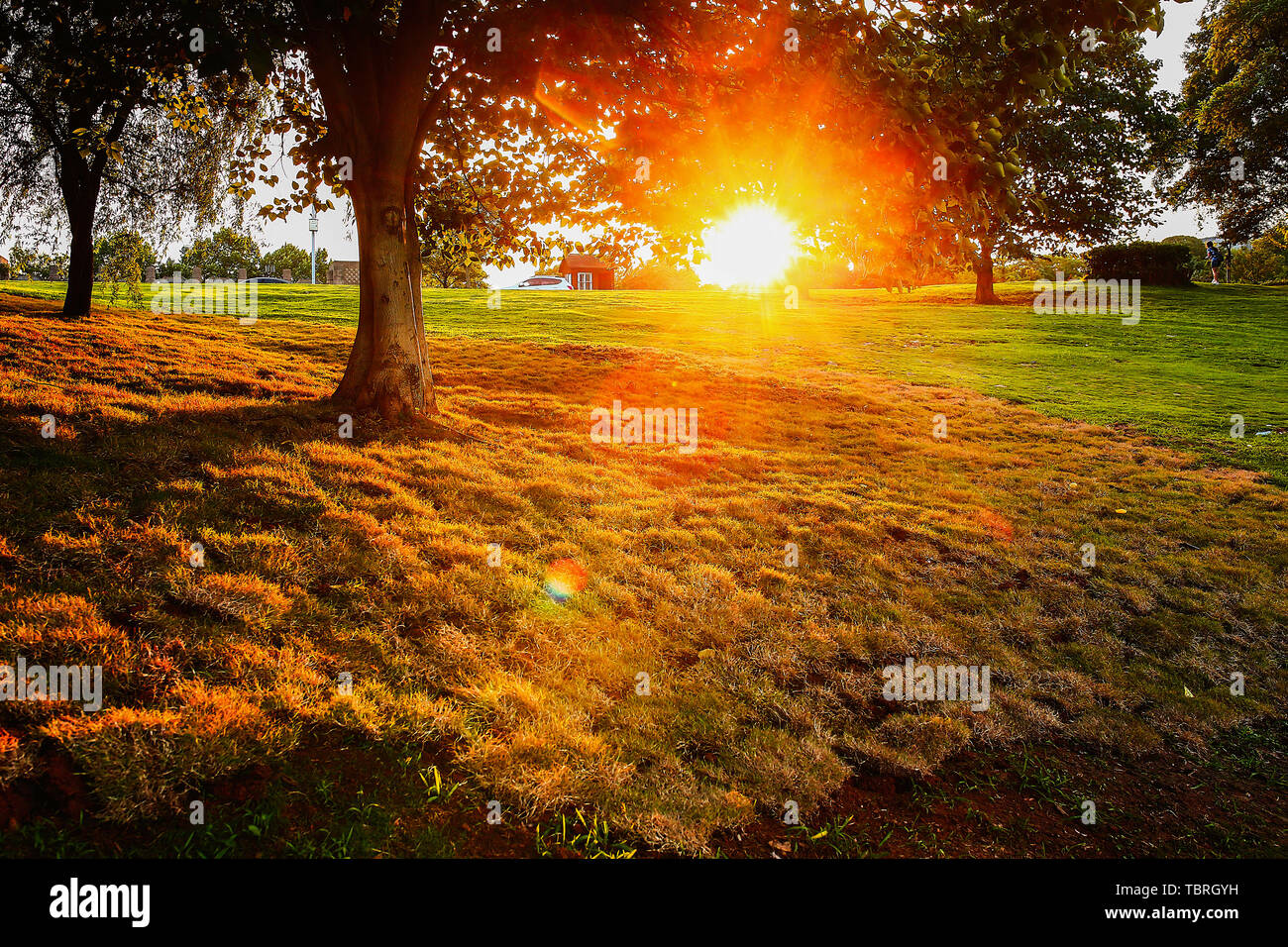 The setting sun is always so beautiful Stock Photo - Alamy
