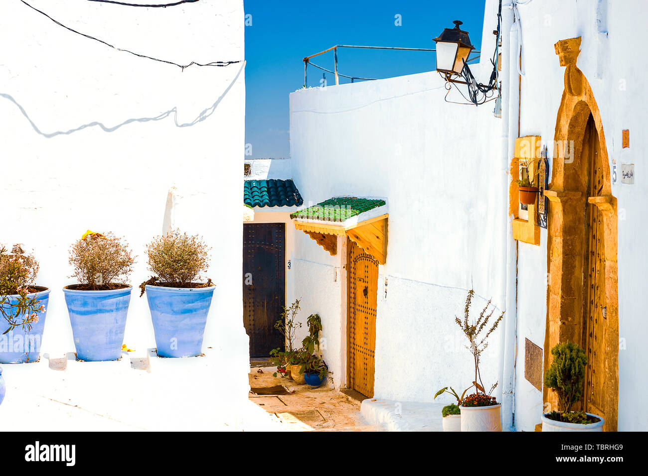 Blue and white traditional street with plants and palm trees in pots in ...