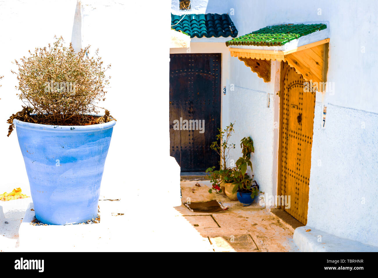 Blue and white traditional street with plants and palm trees in pots in ...