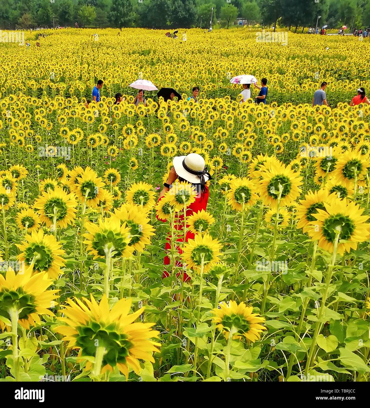 Scenic architectural scenery Stock Photo - Alamy