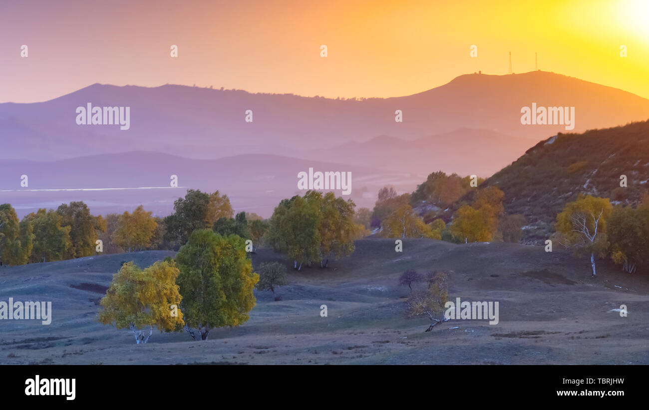 Photographed in autumn on the prairie of the dam in Inner Mongolia ...