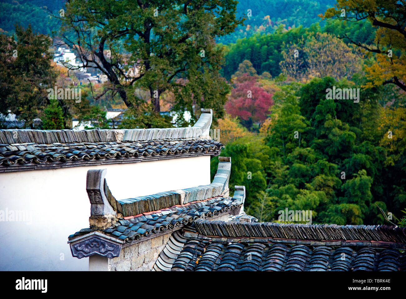 Tagawa hi-res stock photography and images - Alamy