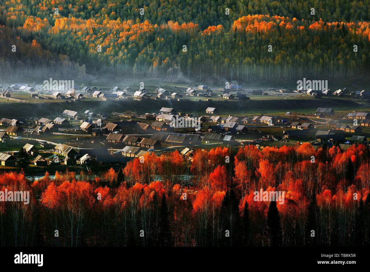 Creative pictures include scenery, architecture, animals, etc Stock ...