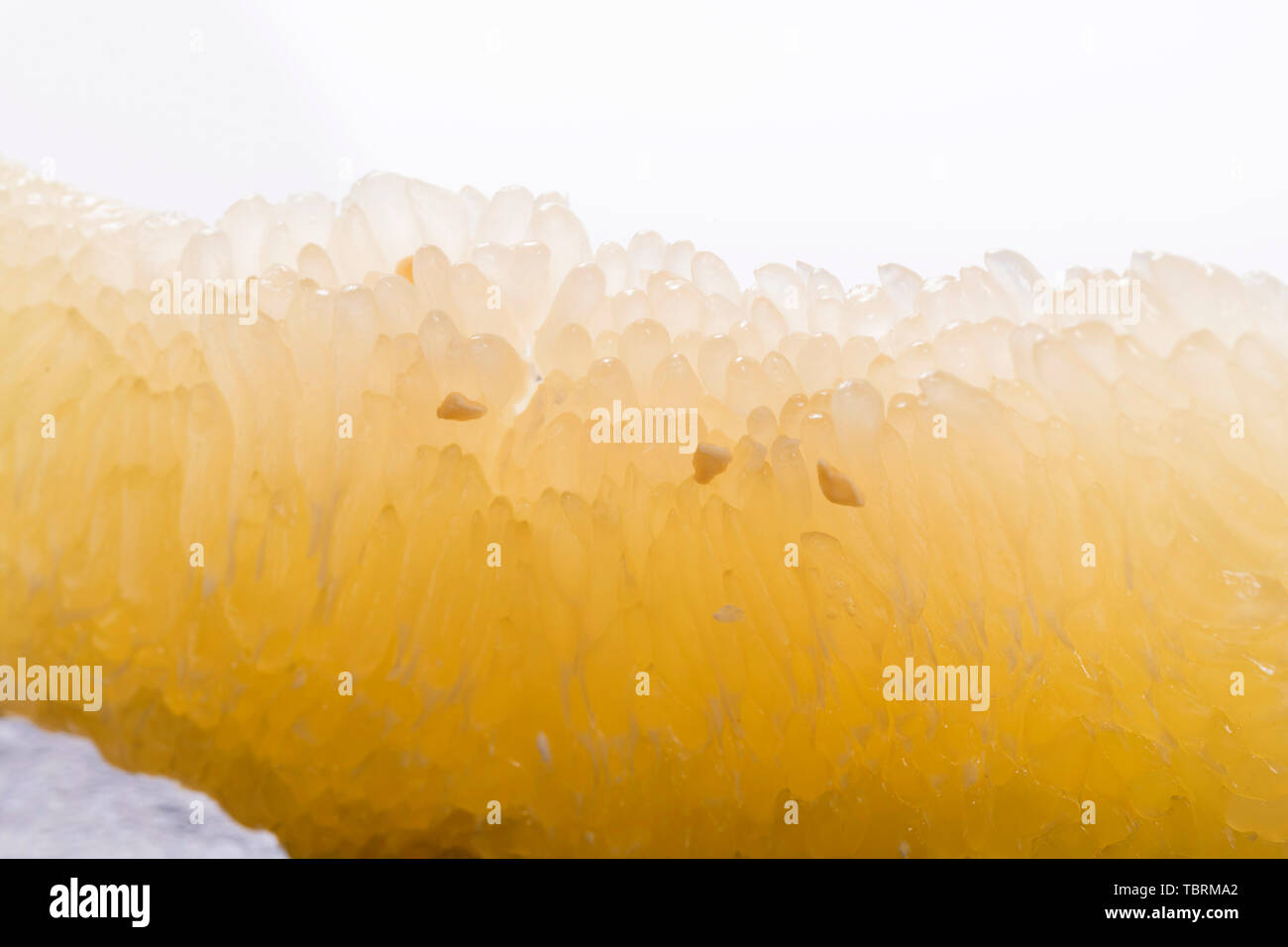 Golden pomelo hi-res stock photography and images - Alamy