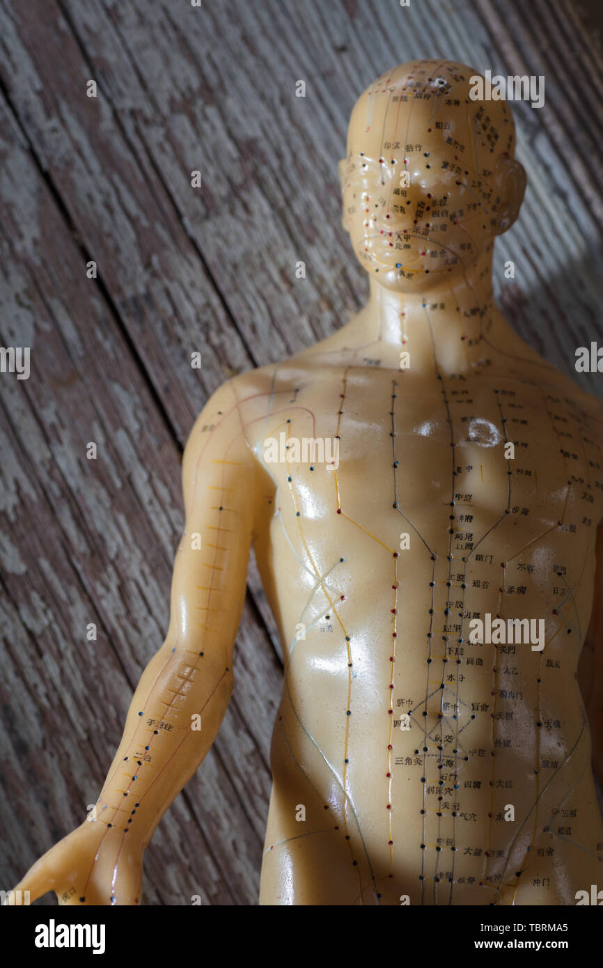 Acupuncture model human body hi-res stock photography and images - Alamy