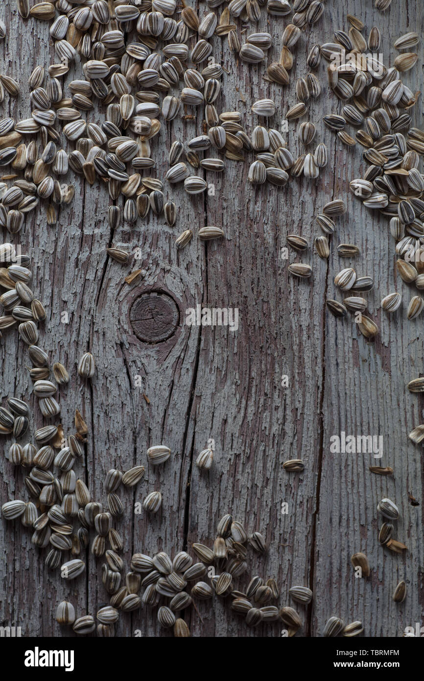 Sunflower seed material Stock Photo - Alamy