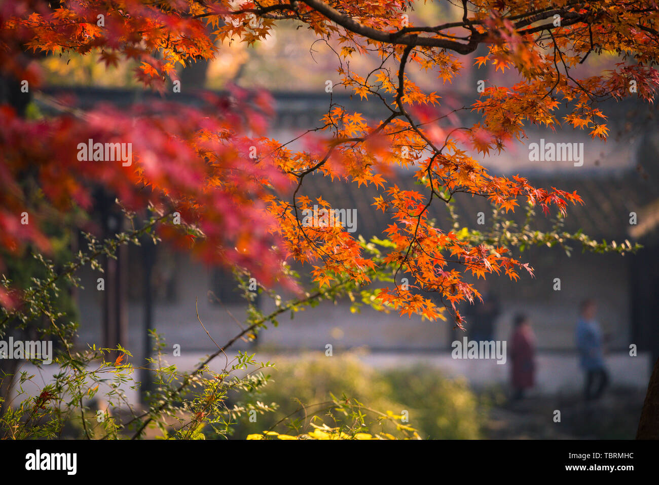 Red sun pavilion hi-res stock photography and images - Alamy
