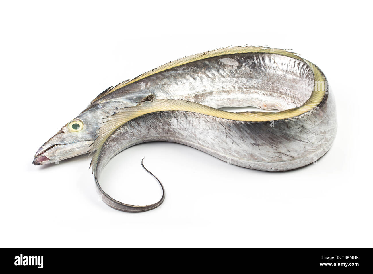 Food bring Cut Out Stock Images & Pictures - Alamy