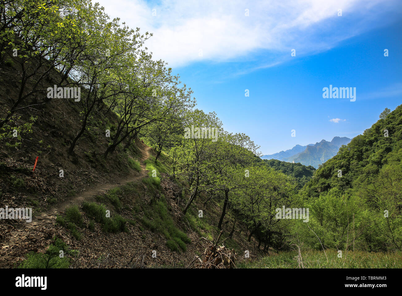 Meridian valley road Stock Photo - Alamy