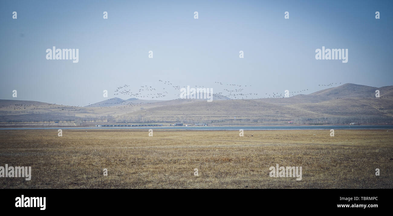 Lakes and lakes farms in rural areas hi-res stock photography and ...