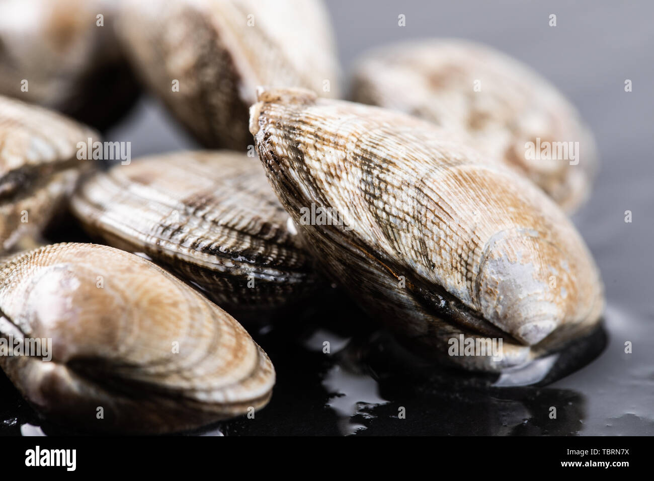 Spicy flower clams hi-res stock photography and images - Alamy