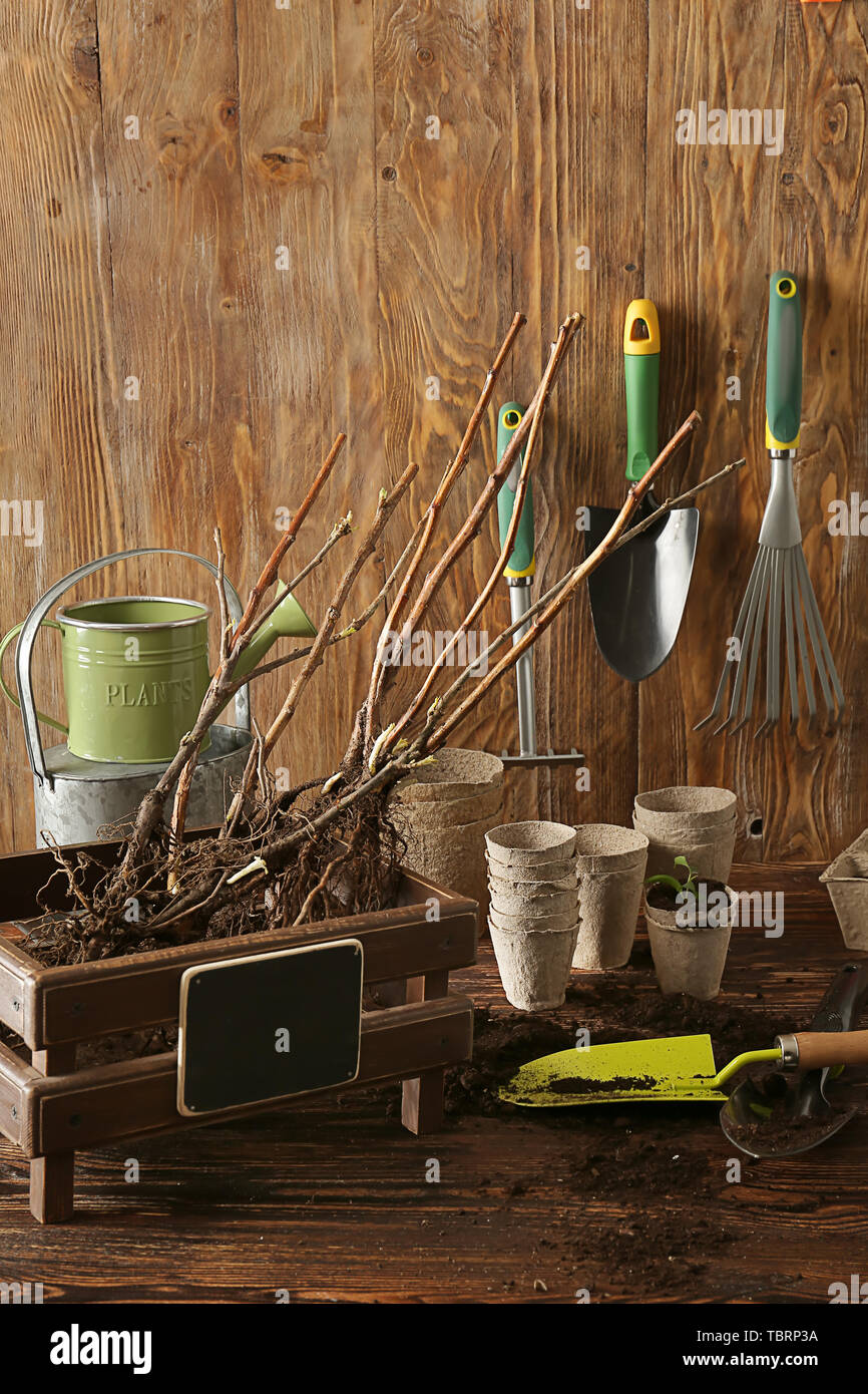 Wooden box with tree seedlings and supplies on table Stock Photo - Alamy