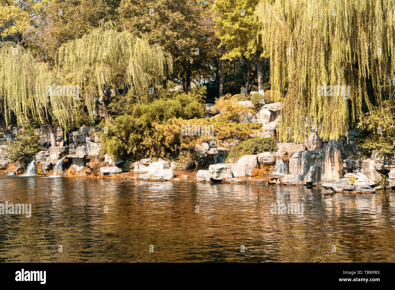 Scenery of Black Tiger Spring Moat Park in Jinan, Shandong Province ...