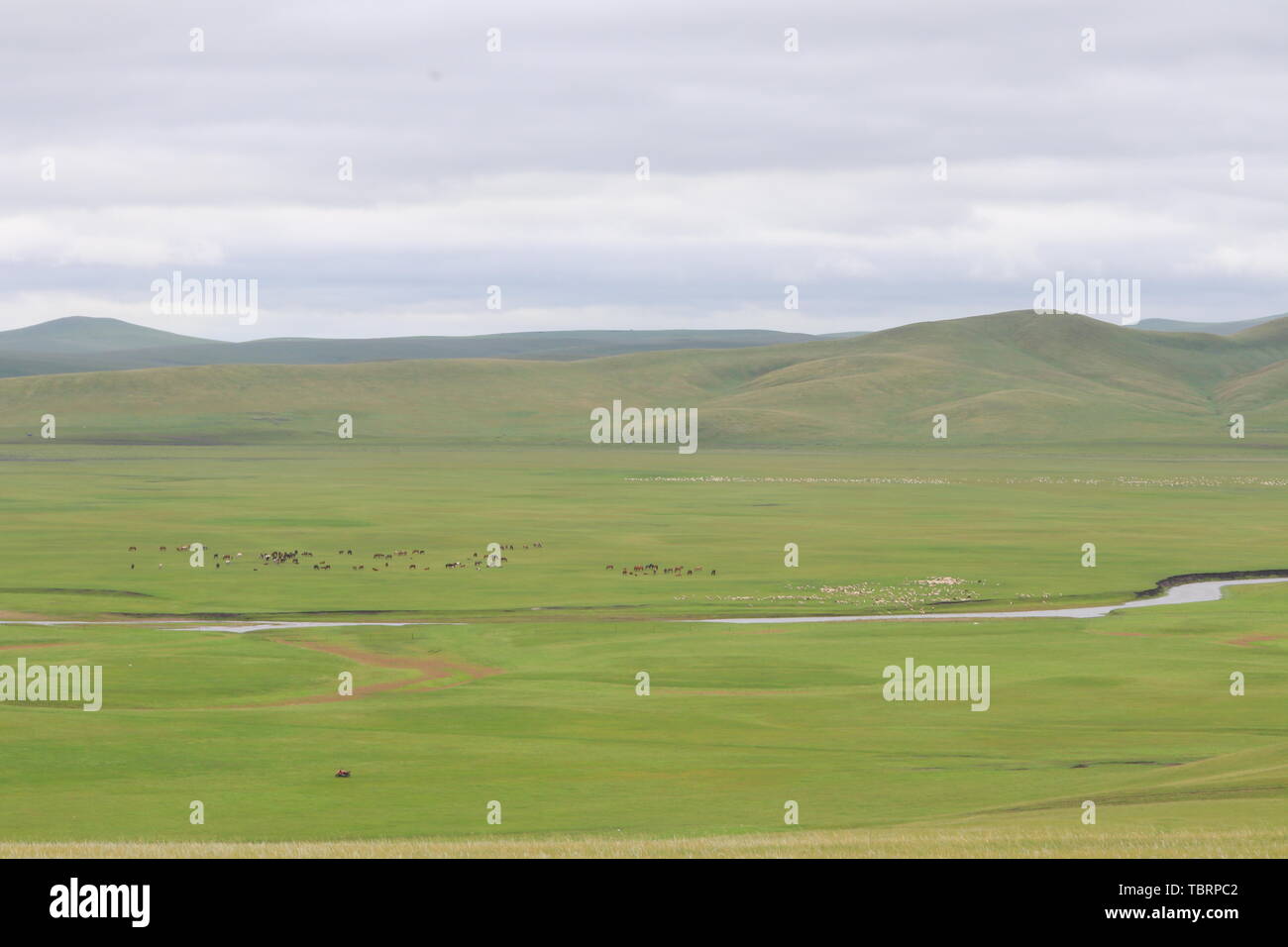 Erguna river erguna river wetland hi-res stock photography and images ...