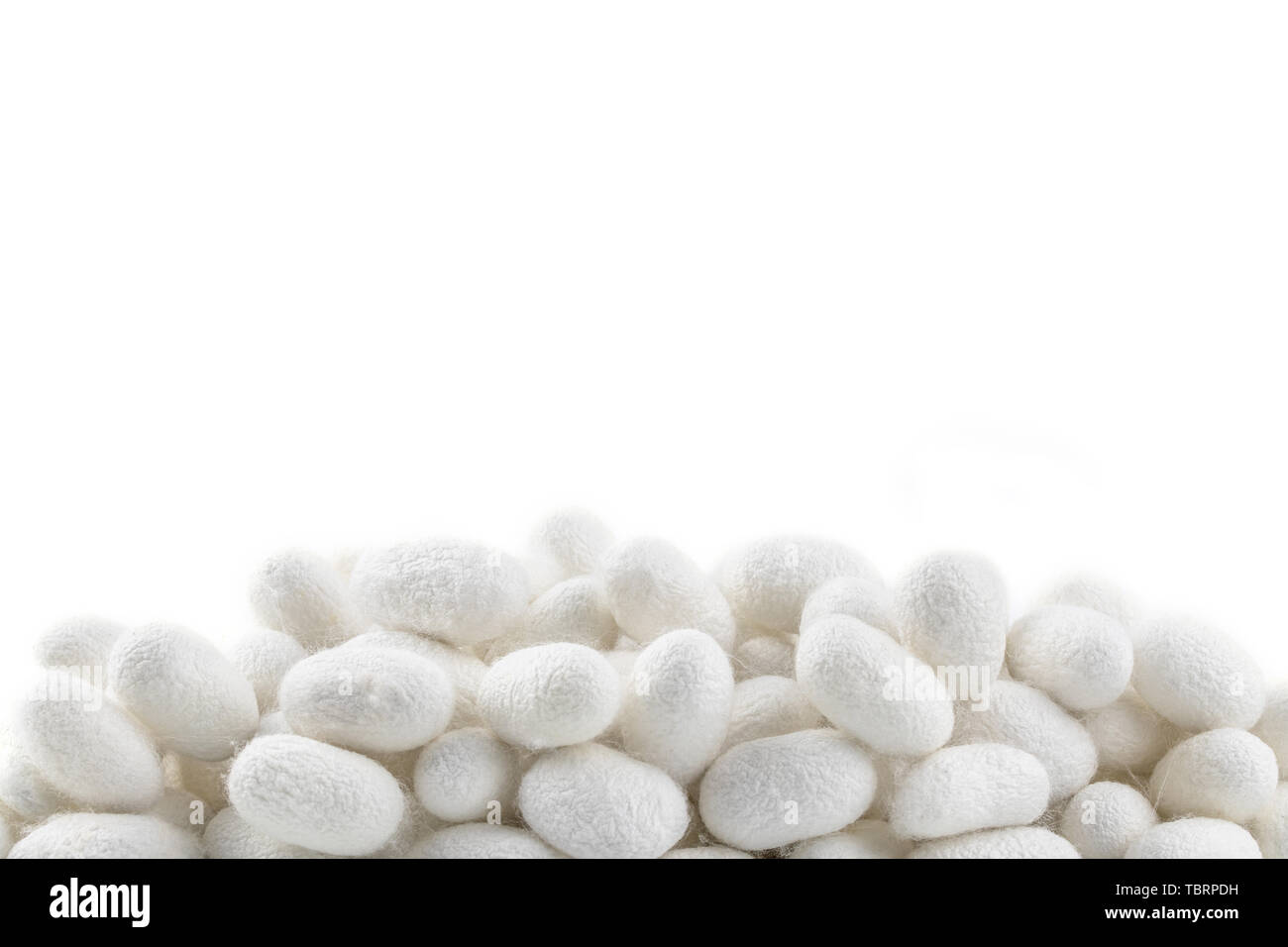 Natural silk cocoon Stock Photo - Alamy