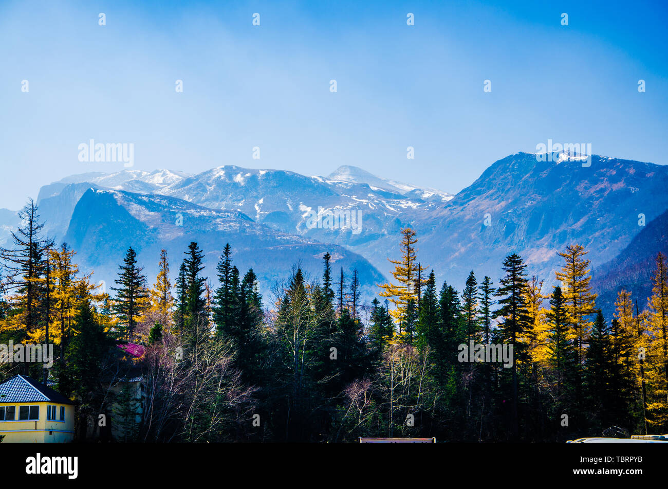 Changbai mountains hi-res stock photography and images - Alamy