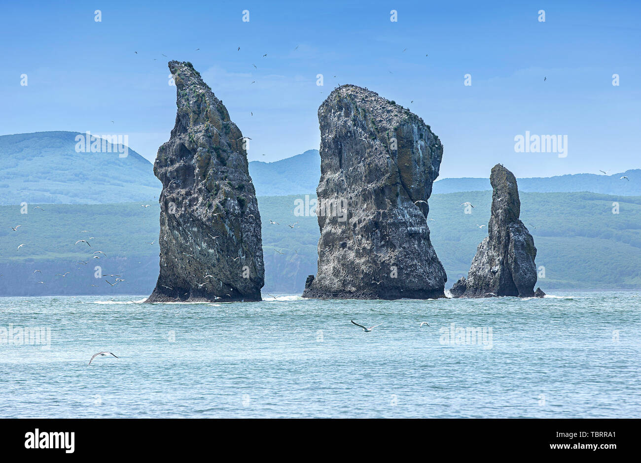 Flock birds flying over sea rocks hi-res stock photography and images ...
