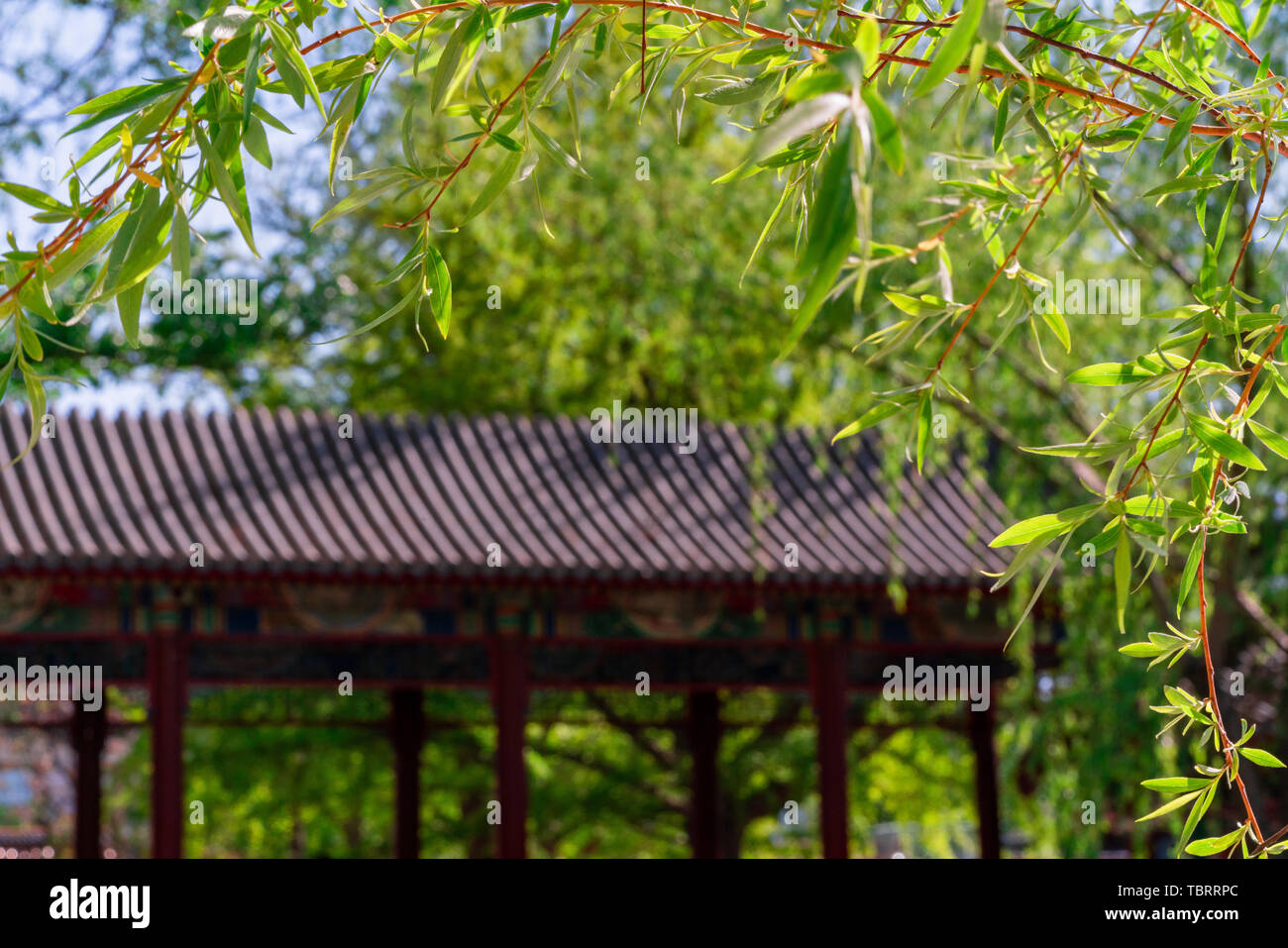 Chinese elements design materials, chinese buildings, beijing zhongshan ...