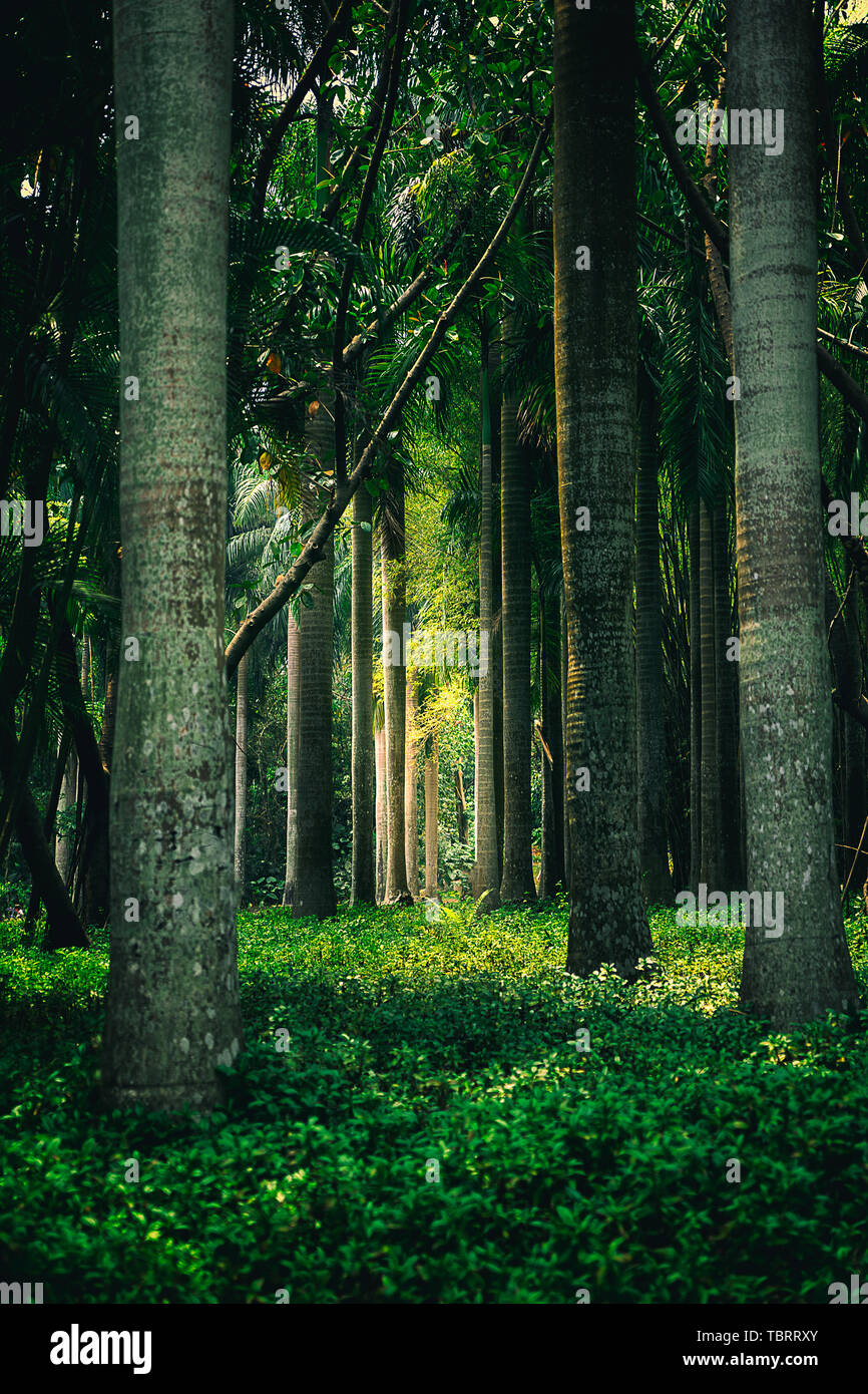 Rural natural landscape Stock Photo - Alamy