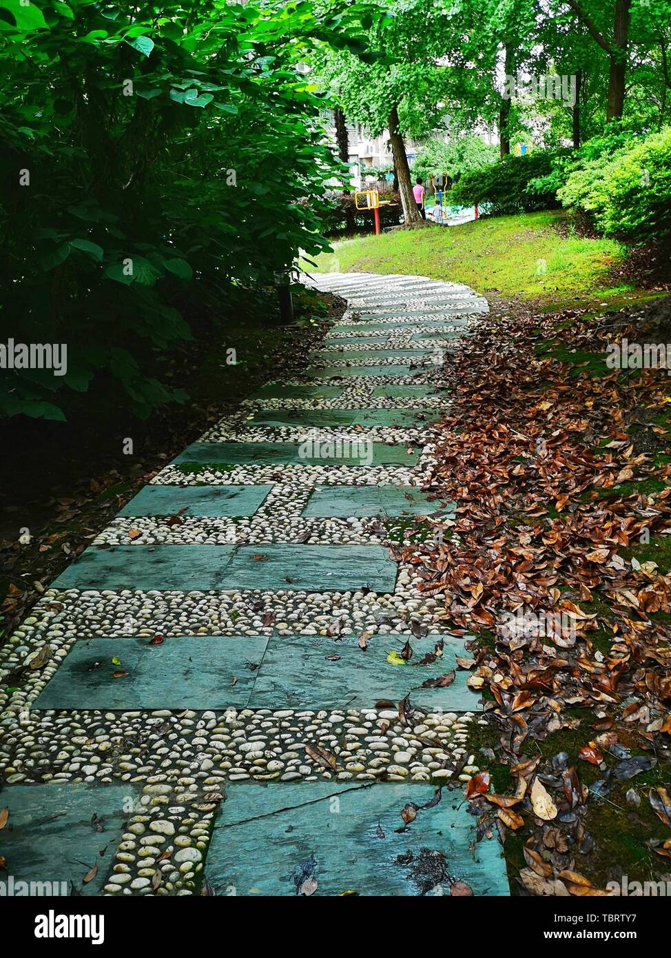 The path in the park Stock Photo - Alamy