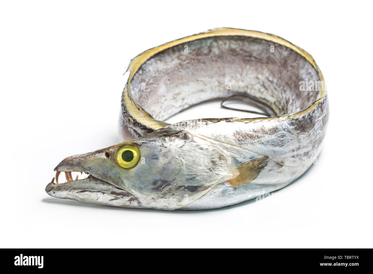 Food bring Cut Out Stock Images & Pictures - Alamy