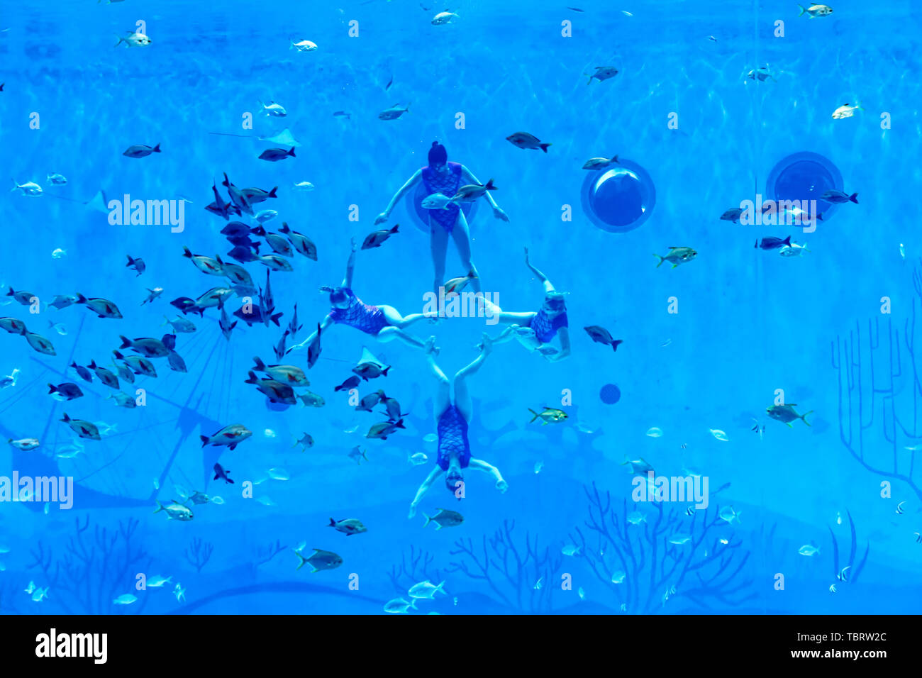 Mermaid performance at Haichang Ocean Park, Shanghai Stock Photo - Alamy